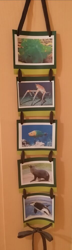 Glasilo Corona št. 6 - Prehranjevalne verige - Osnovna šola Hruševec