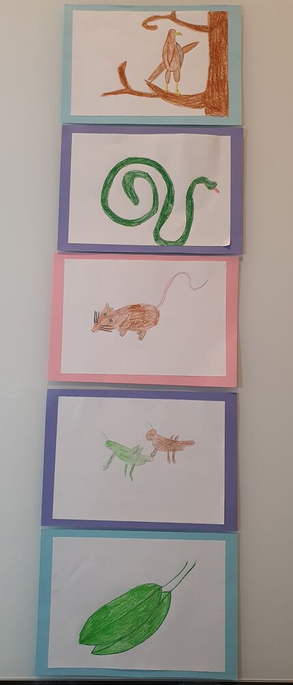 Prehranjevalne verige - Osnovna šola Hruševec