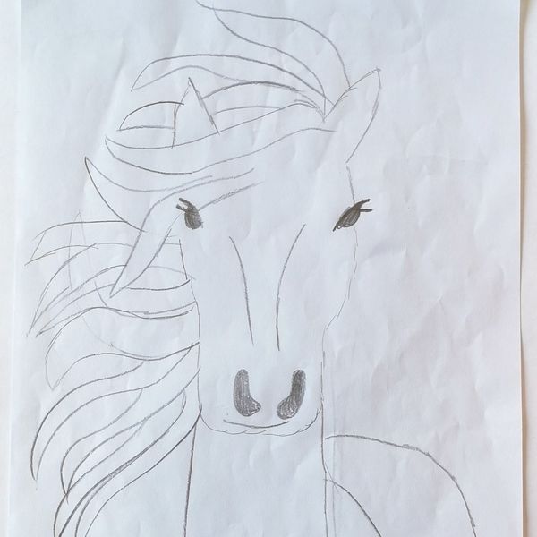 Glasilo Corona št. 2 - Pande in konji - Osnovna šola Hruševec